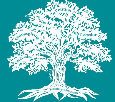 Foundational Intimacy – Navigators Train – Develop – Care